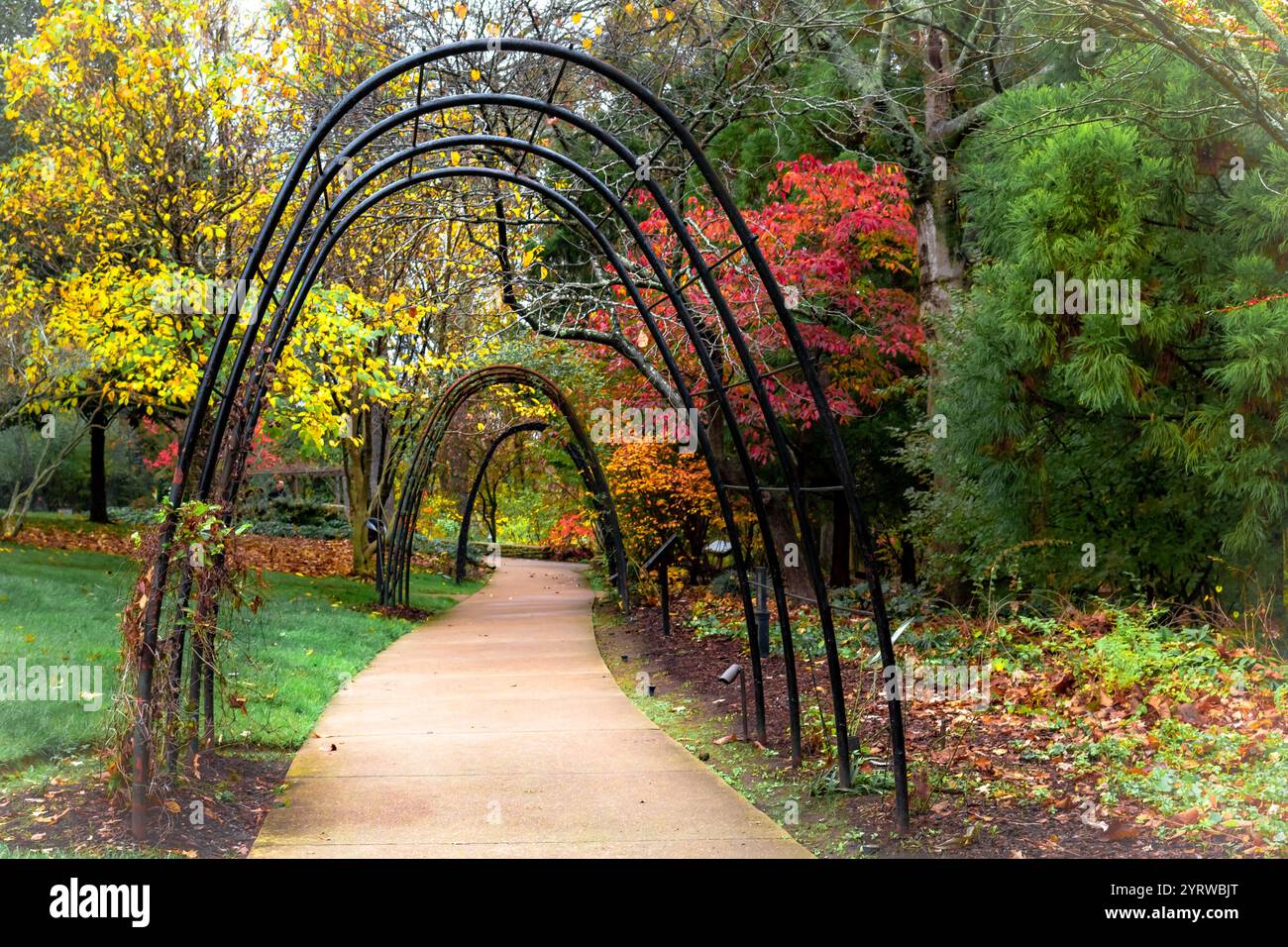 Garden footpath walkway surrounded by colorful fall foliage trees and ...