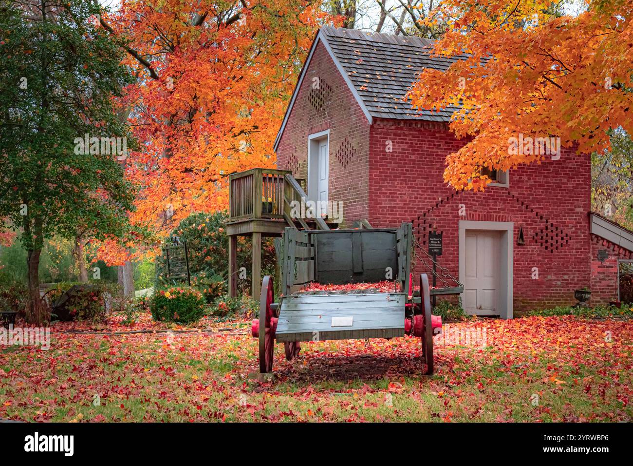 Antique wooden wagon vehicle surrounded by colorful fall foliage trees ...