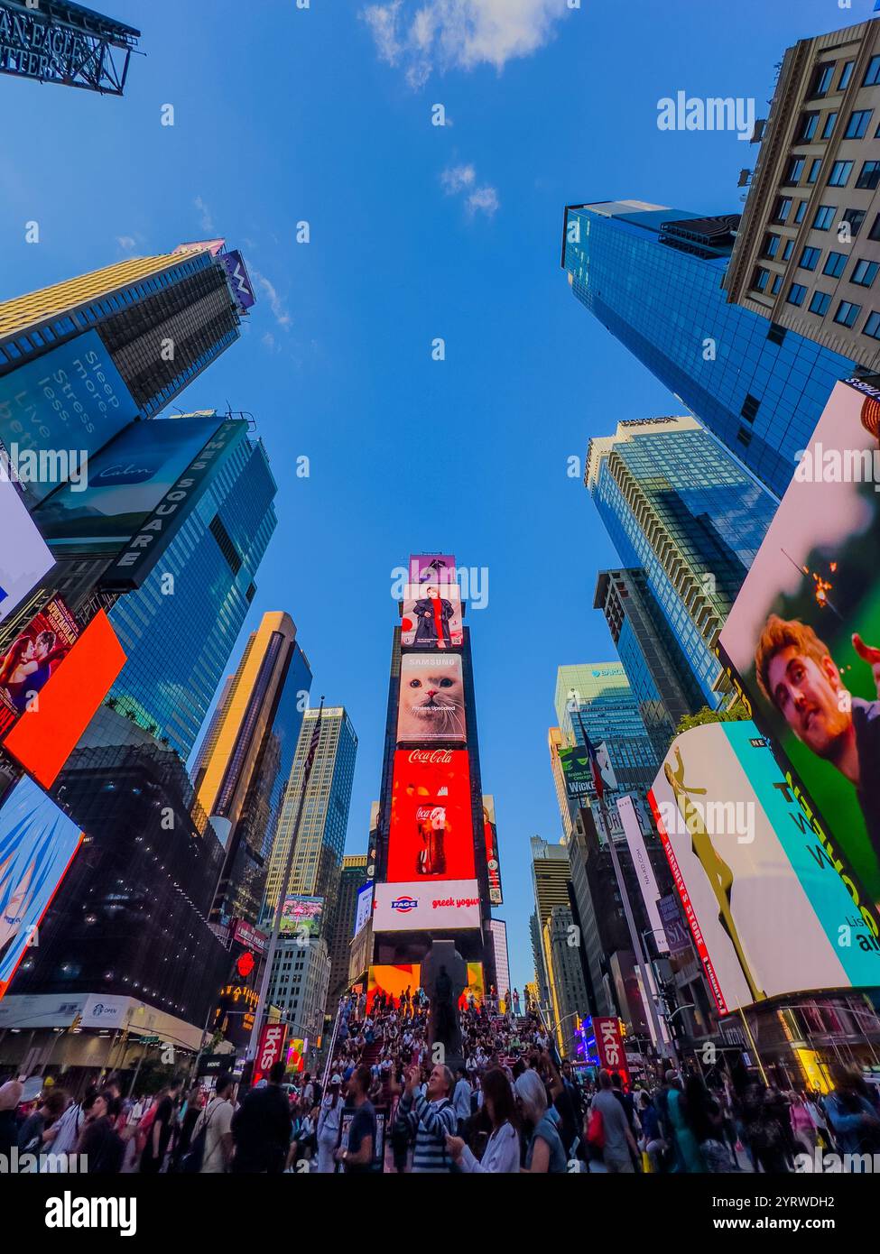 Day time jungle hi-res stock photography and images - Alamy