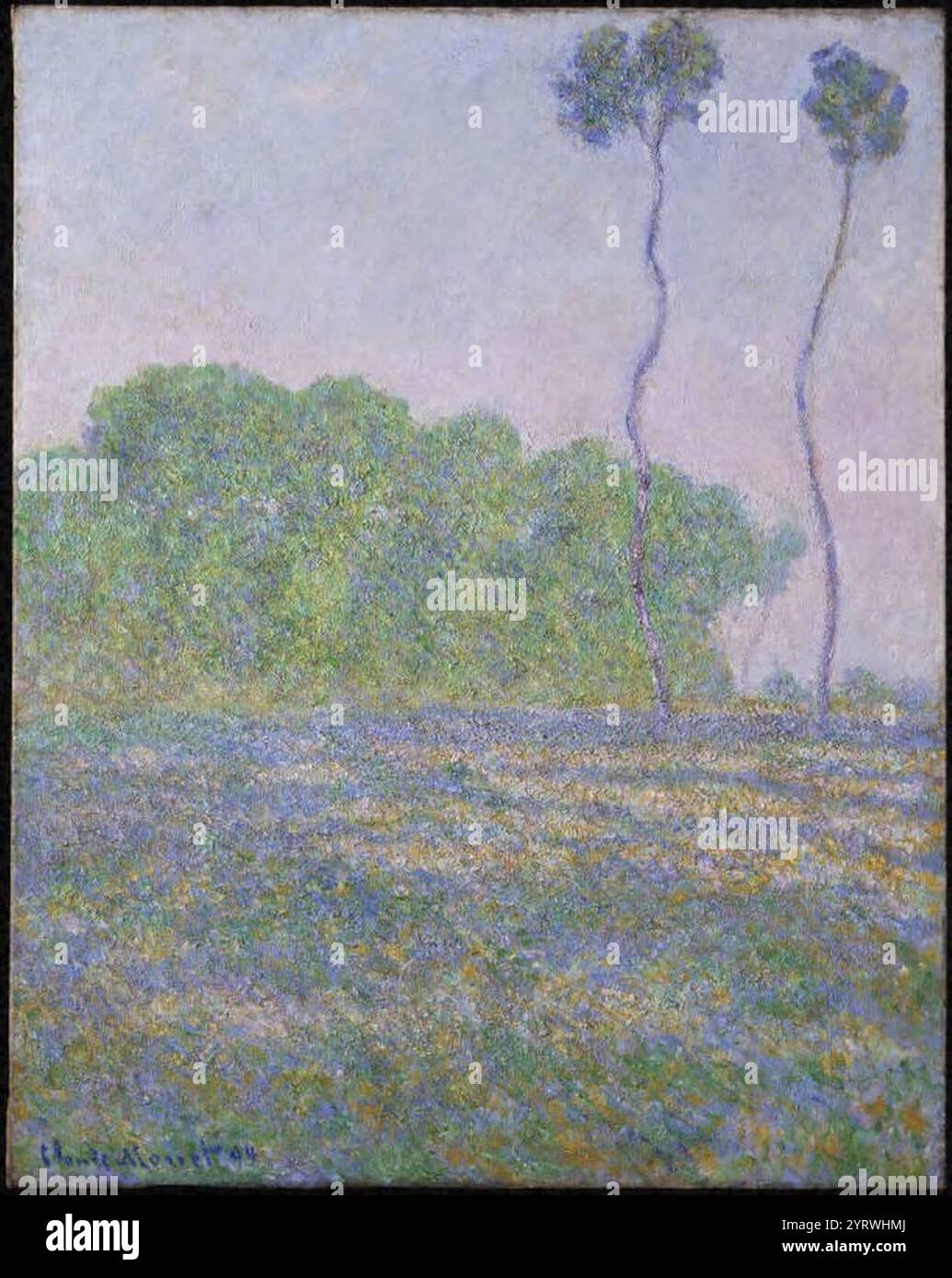Claude Monet - Meadow at Giverny Stock Photo - Alamy