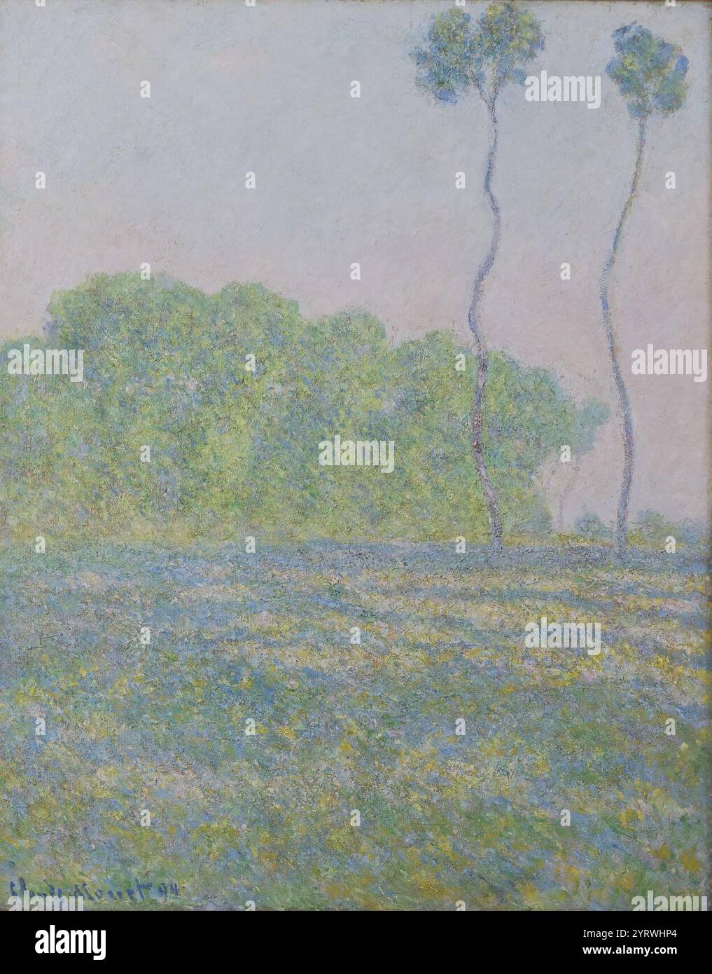 Claude Monet - Meadow at Giverny (Princeton Stock Photo - Alamy