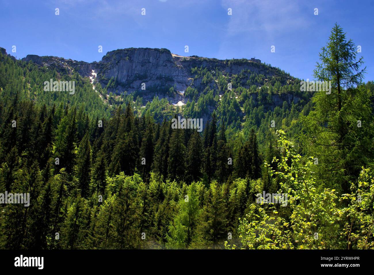 Mountain behind green on a spring day in the Bavarian Alps of Germany ...
