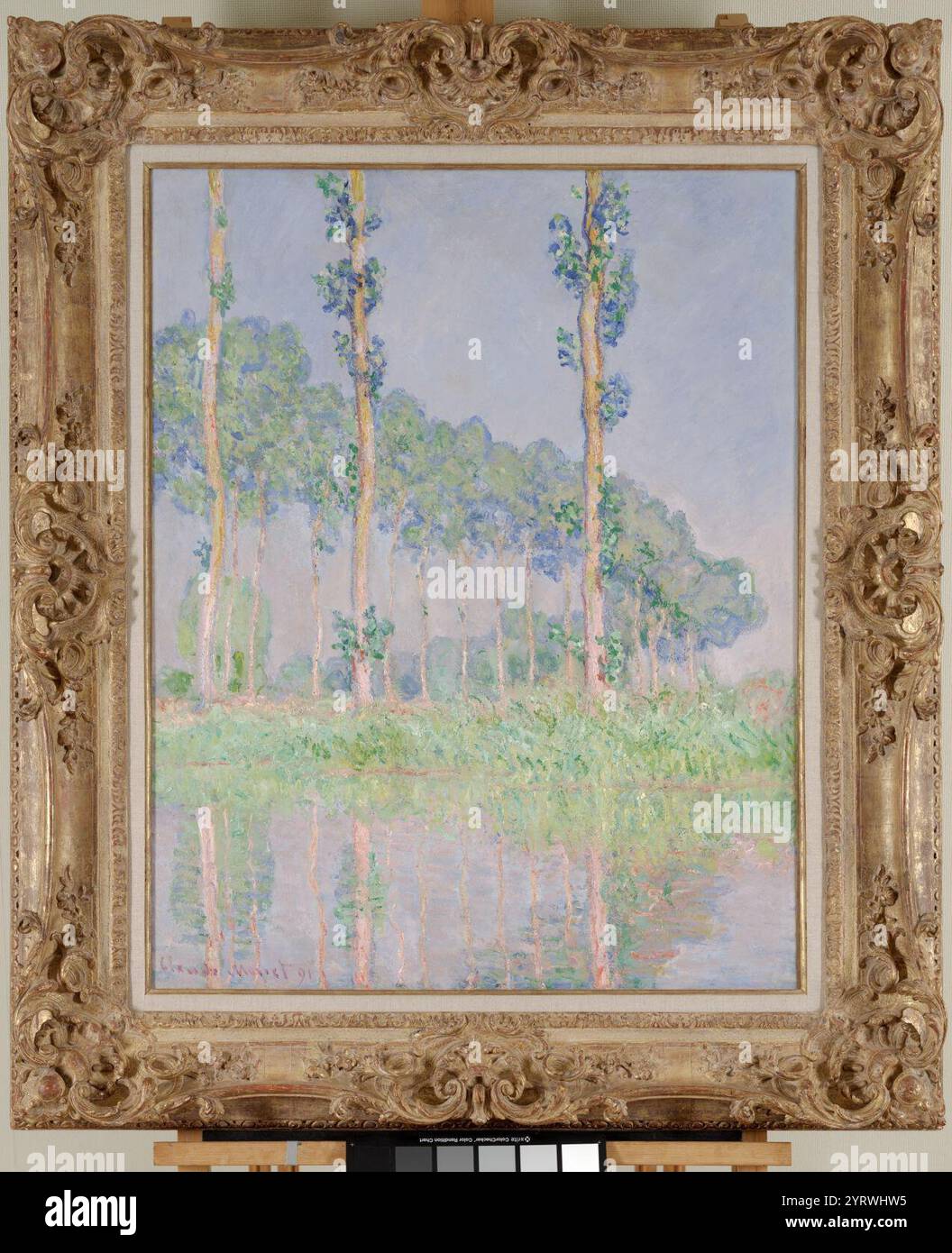 Poplars monet pink hi-res stock photography and images - Alamy