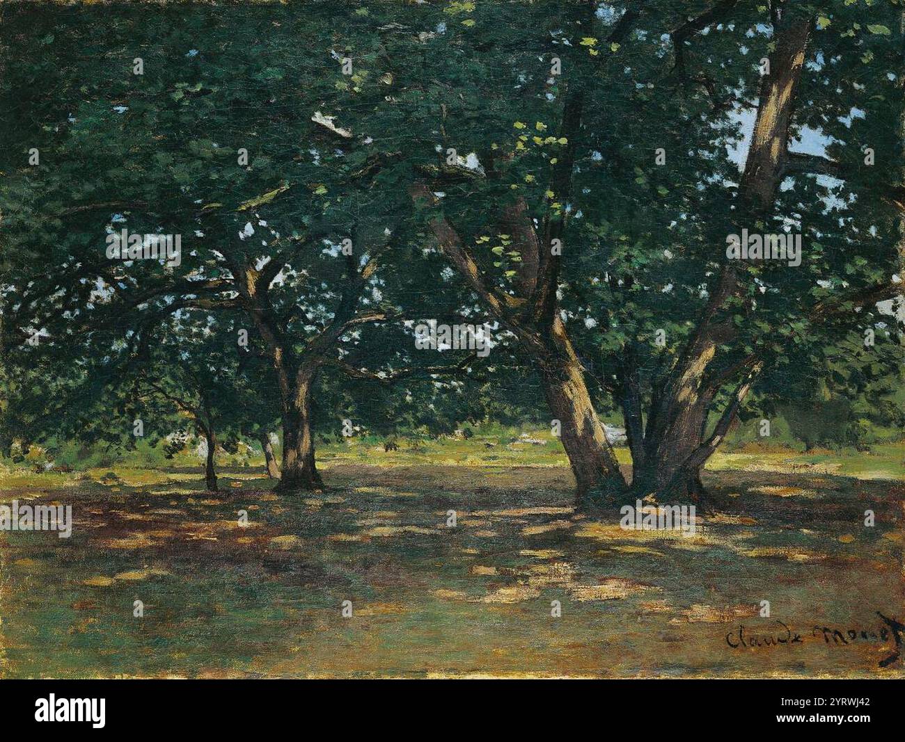 Claude Monet, Forêt de Fontainebleau Stock Photo - Alamy
