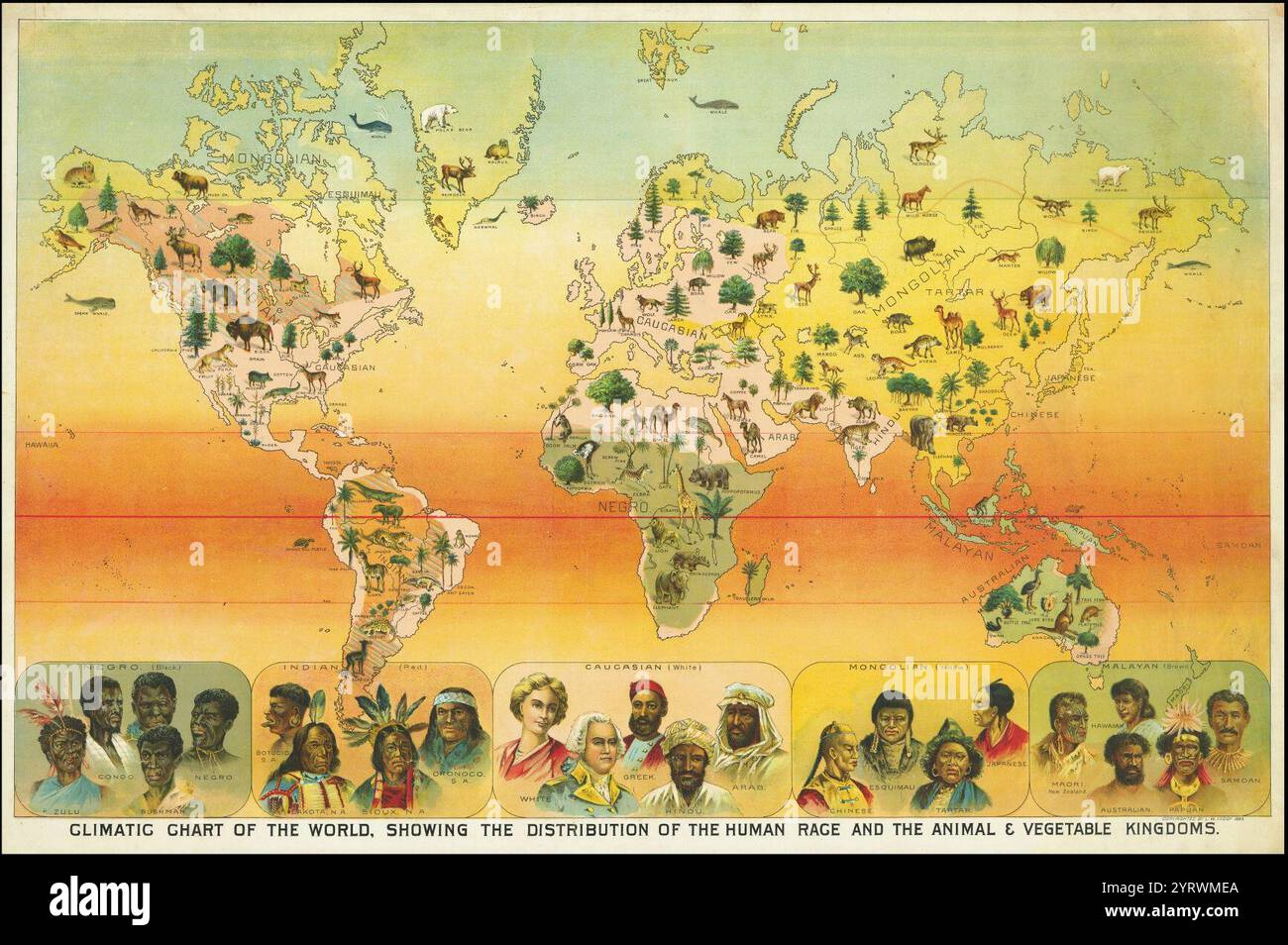 Climatic Chart of the World, Showing the Distribution of the Human Race ...