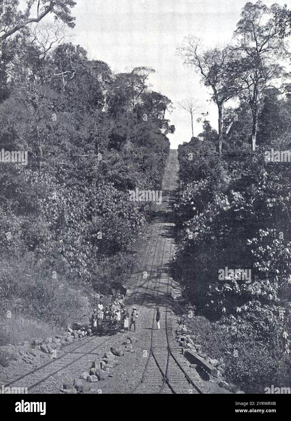 Cochin State Forest Tramway - Incline Stock Photo - Alamy