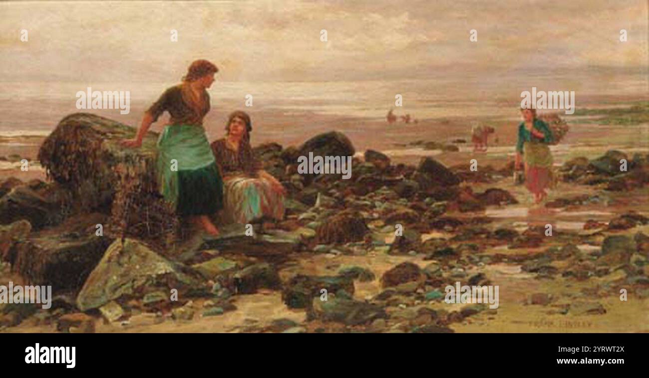 Cockling hi-res stock photography and images - Alamy