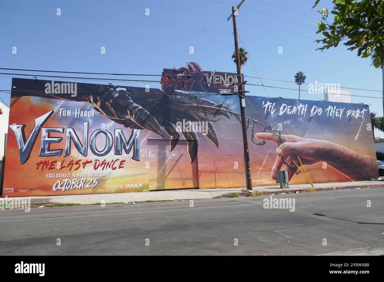 Los Angeles, California, USA 5th October 2024 Venom Tom Hardy ...