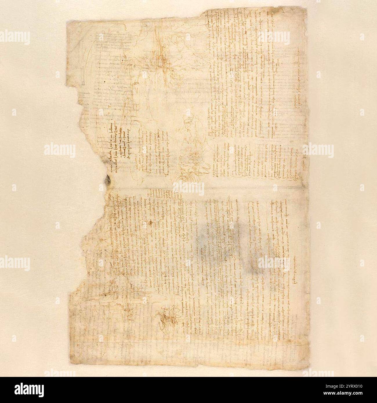 Codex Atlanticus - 000V-393 Stock Photo - Alamy