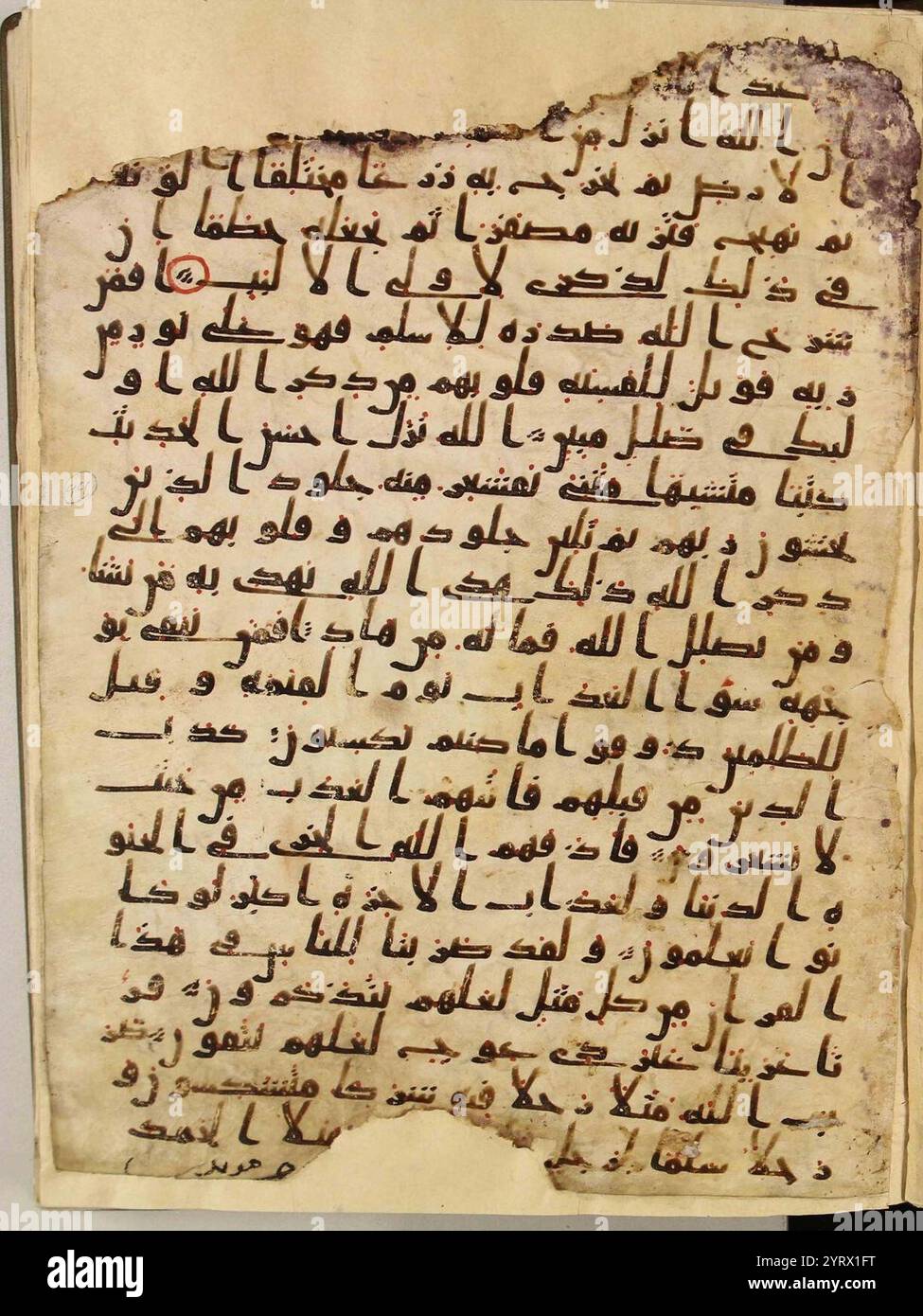 Codex Mashhad, MS 4116, Folio B66a Stock Photo - Alamy