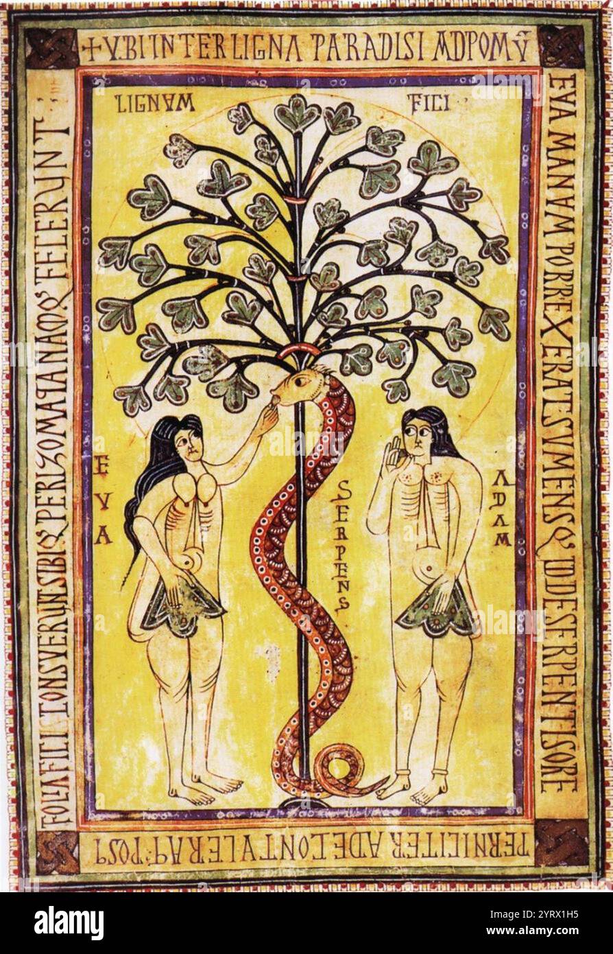 Codex vigilanus hi-res stock photography and images - Alamy