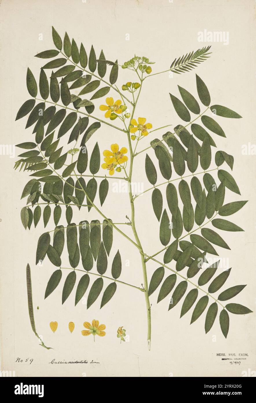 Sheikh zain al din hi-res stock photography and images - Alamy