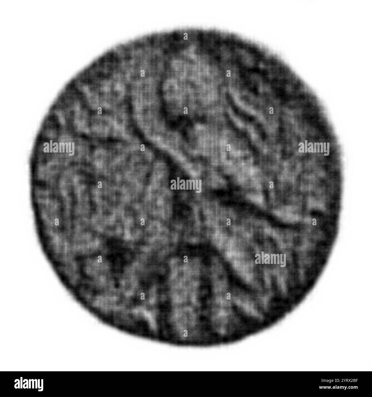 Coin of Kushan ruler Chhu Stock Photo - Alamy