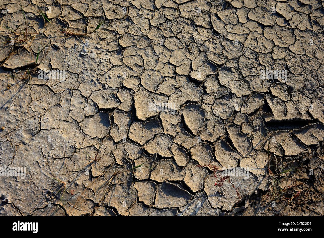 Climate warming dry chapped land Stock Photo - Alamy
