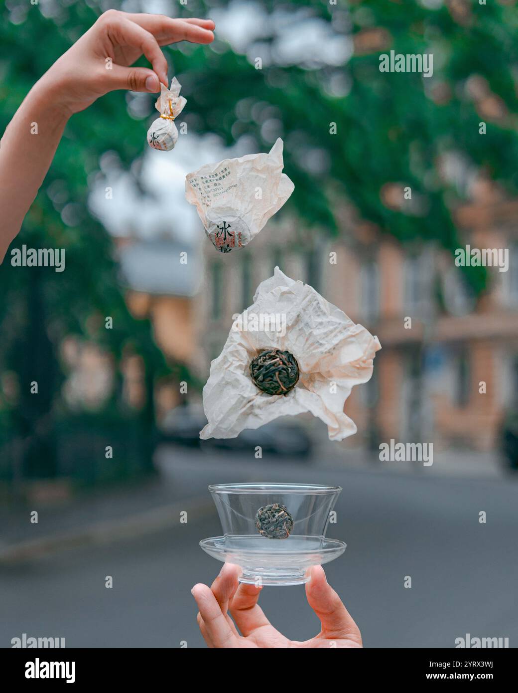 The Art of Floating Tea Leaves is All About Elegant Presentation and ...