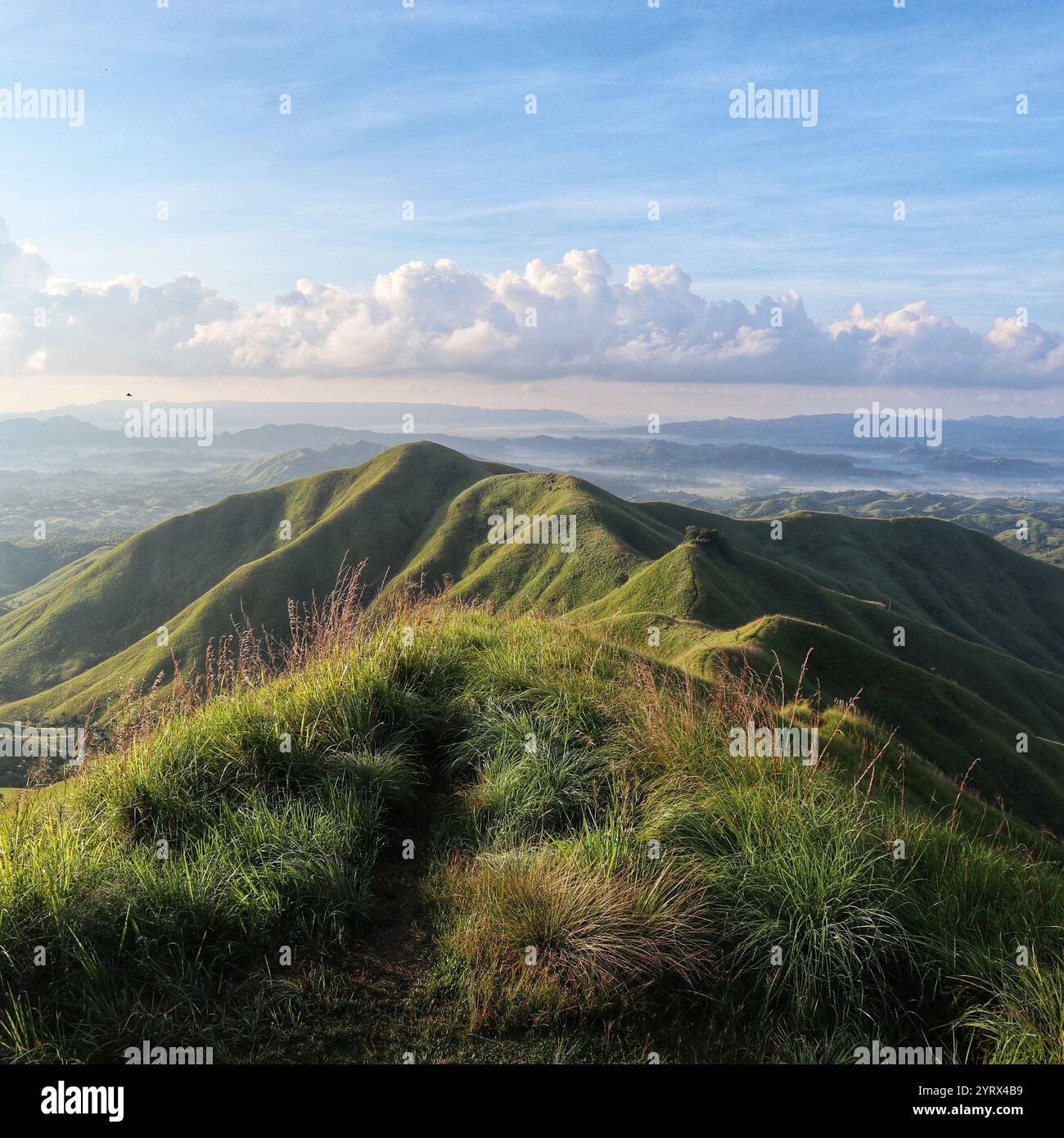 Alicia panoramic park hi-res stock photography and images - Alamy