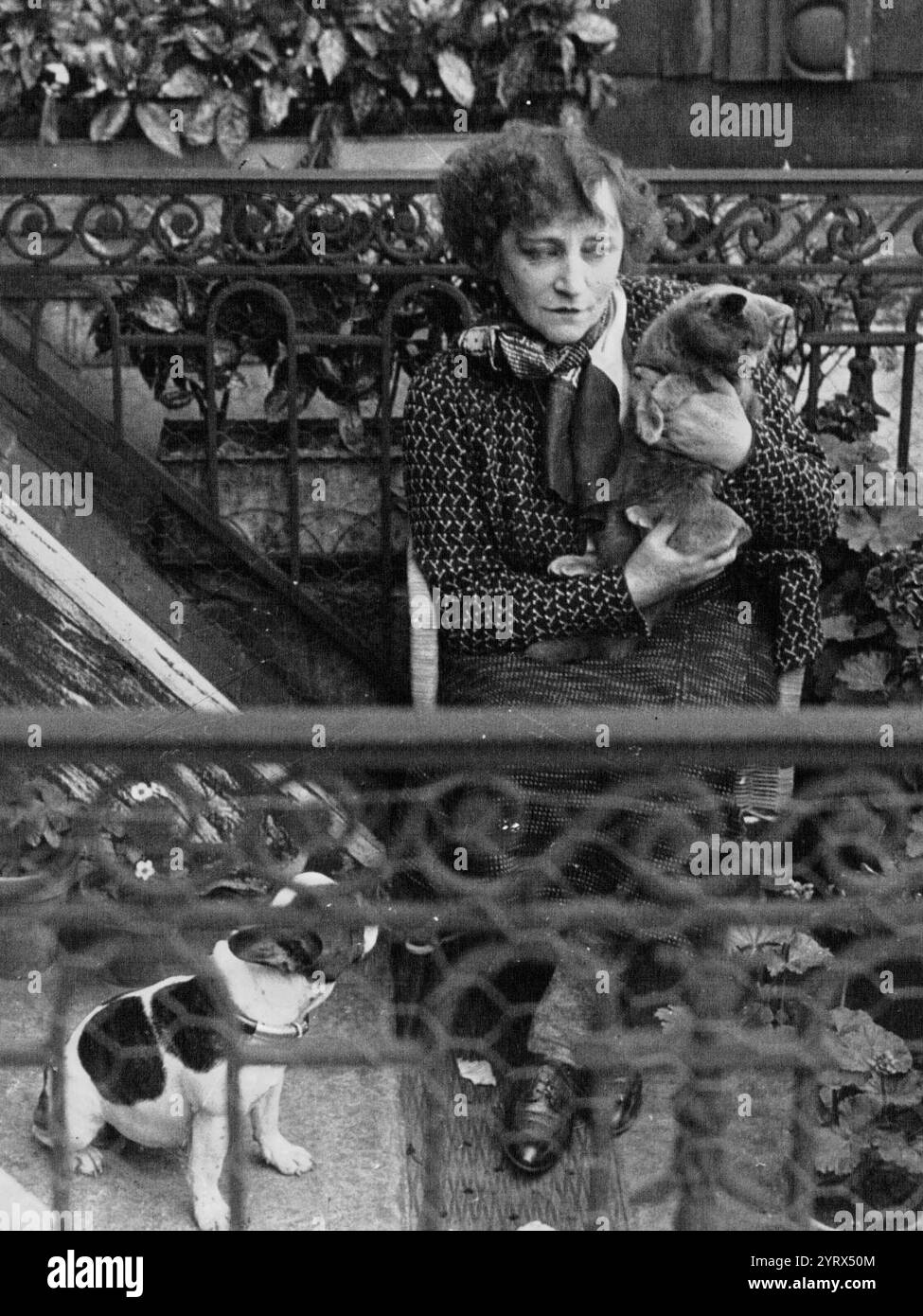 Colette 1932 (3 Stock Photo - Alamy