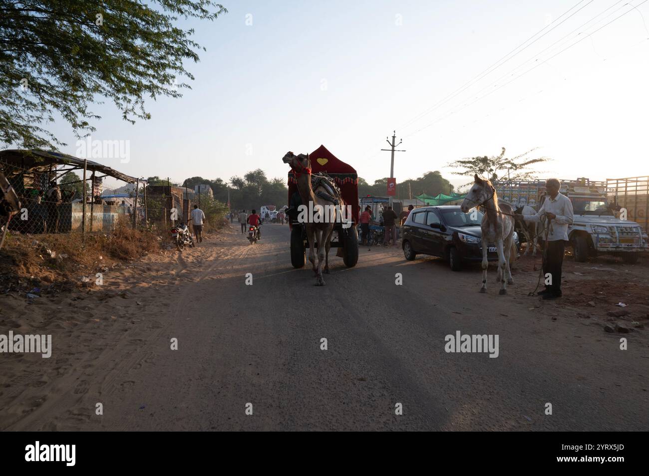 Pushkar Fair, Rajasthan, India Stock Photo - Alamy