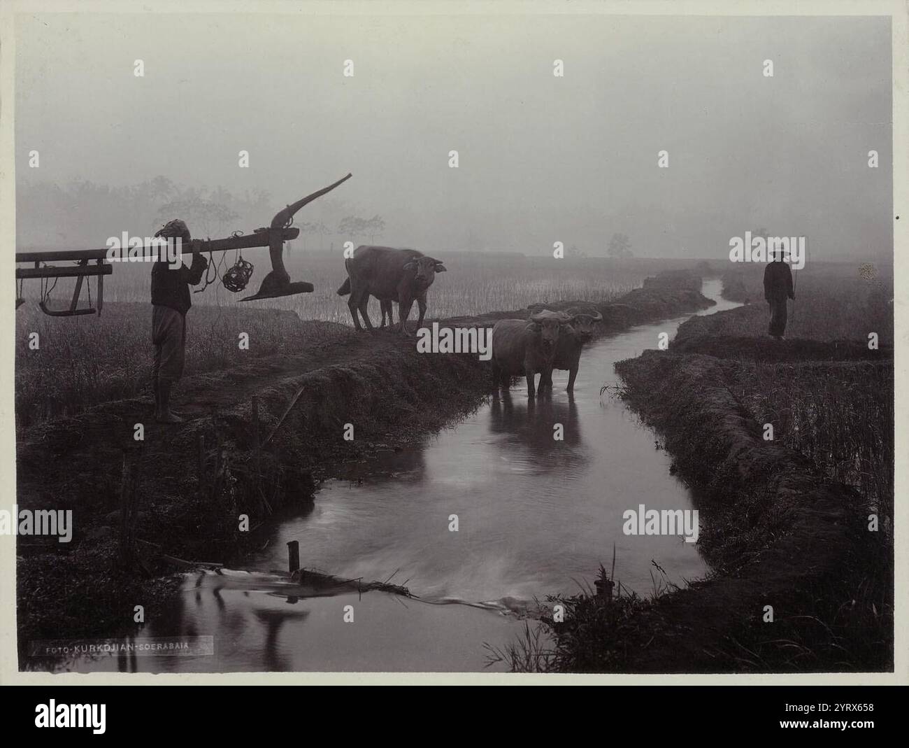 181, foto, 'Een sawa bij Yogyakarta', fotograaf Ohannes Kurkdjian, 1885 ...