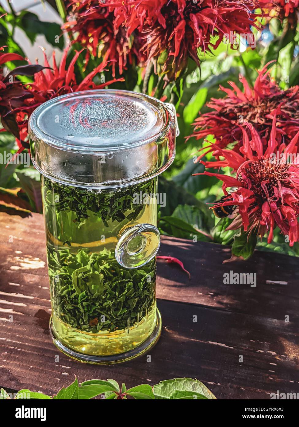 Enjoy a Refreshing Herbal Tea Infusion Served in a Beautiful and ...