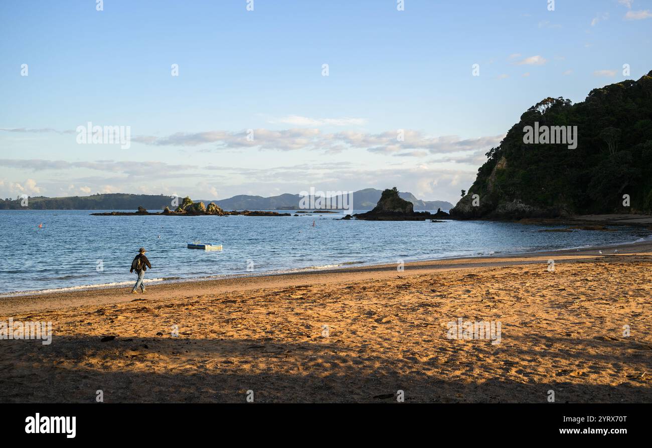 Man walking on Tapeka Point beach. Russell. Bay of Islands Stock Photo ...
