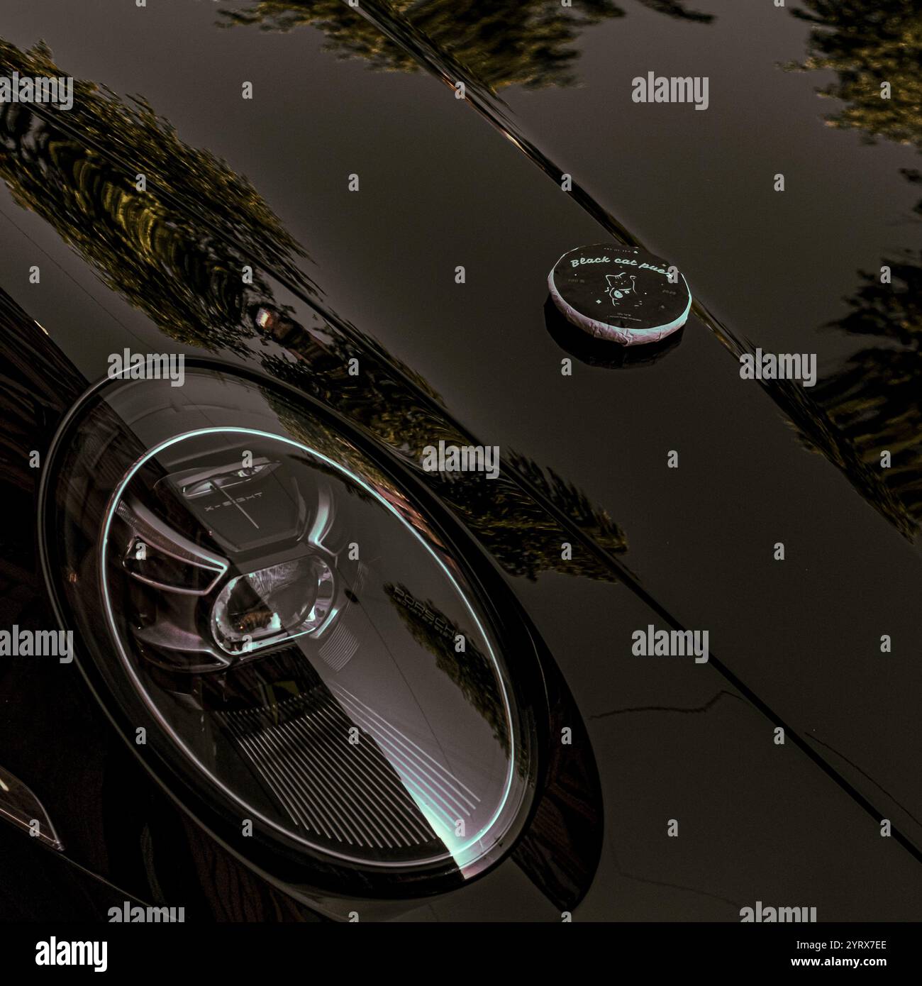 A striking and refined design of a modern car featuring a luxurious and ...