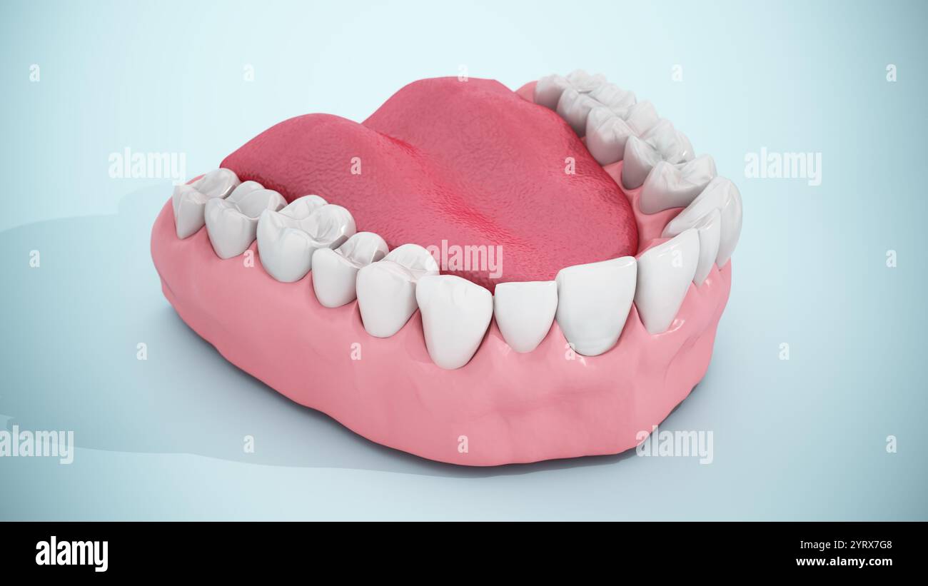 Video shows dental implants inside a half lower jaw model. 3D ...