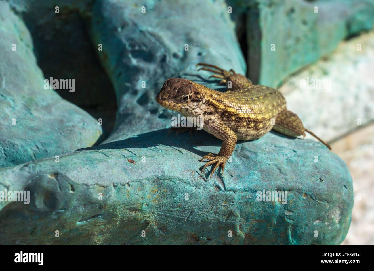 Reflection on holocaust hi-res stock photography and images - Alamy