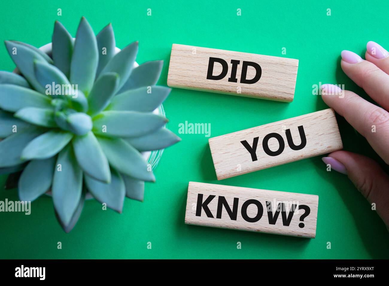 Did you know symbol. Wooden blocks with words Did you know. Businessman ...