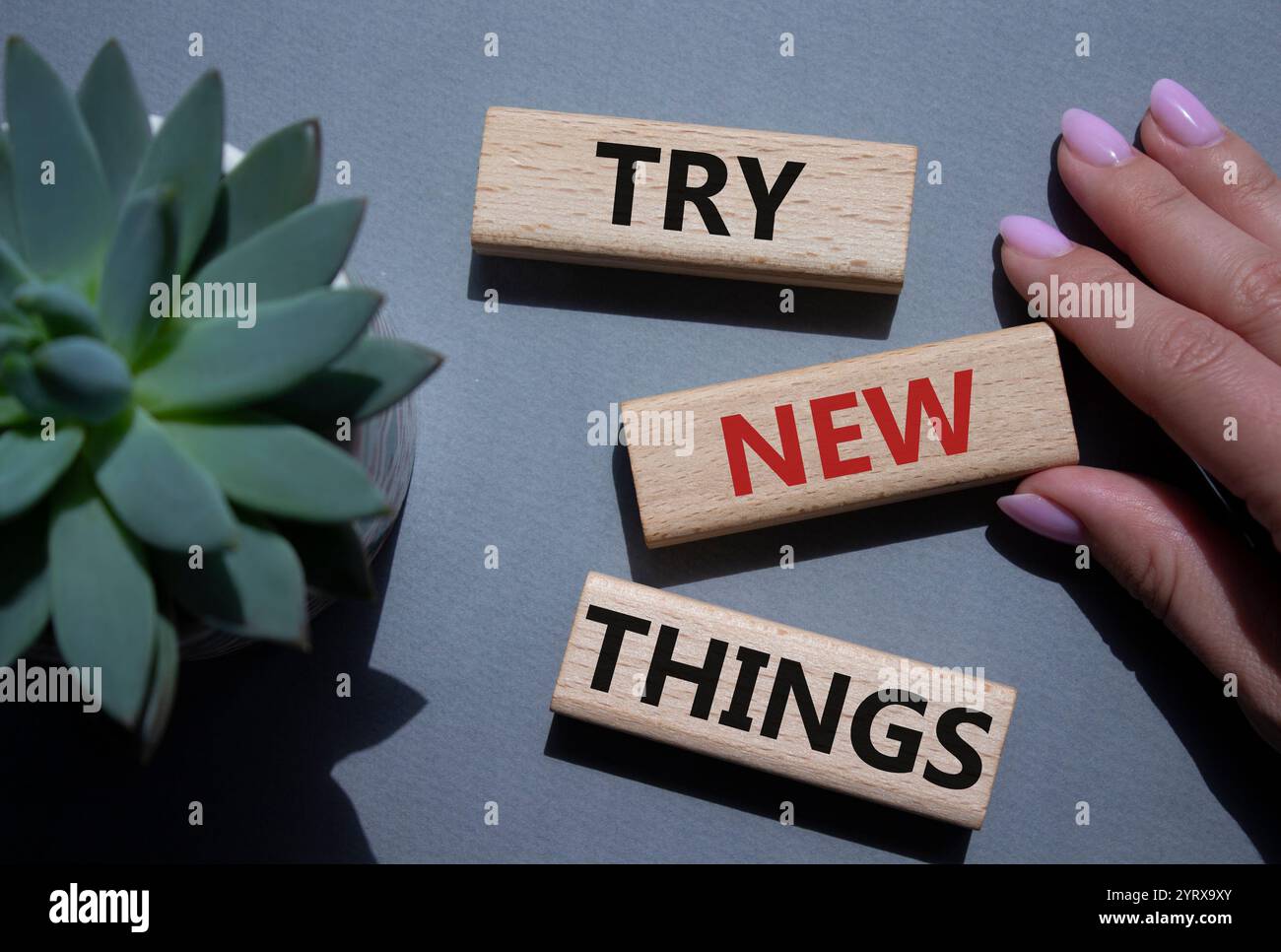 Try new Things symbol. Concept words Try new Things on wooden blocks ...