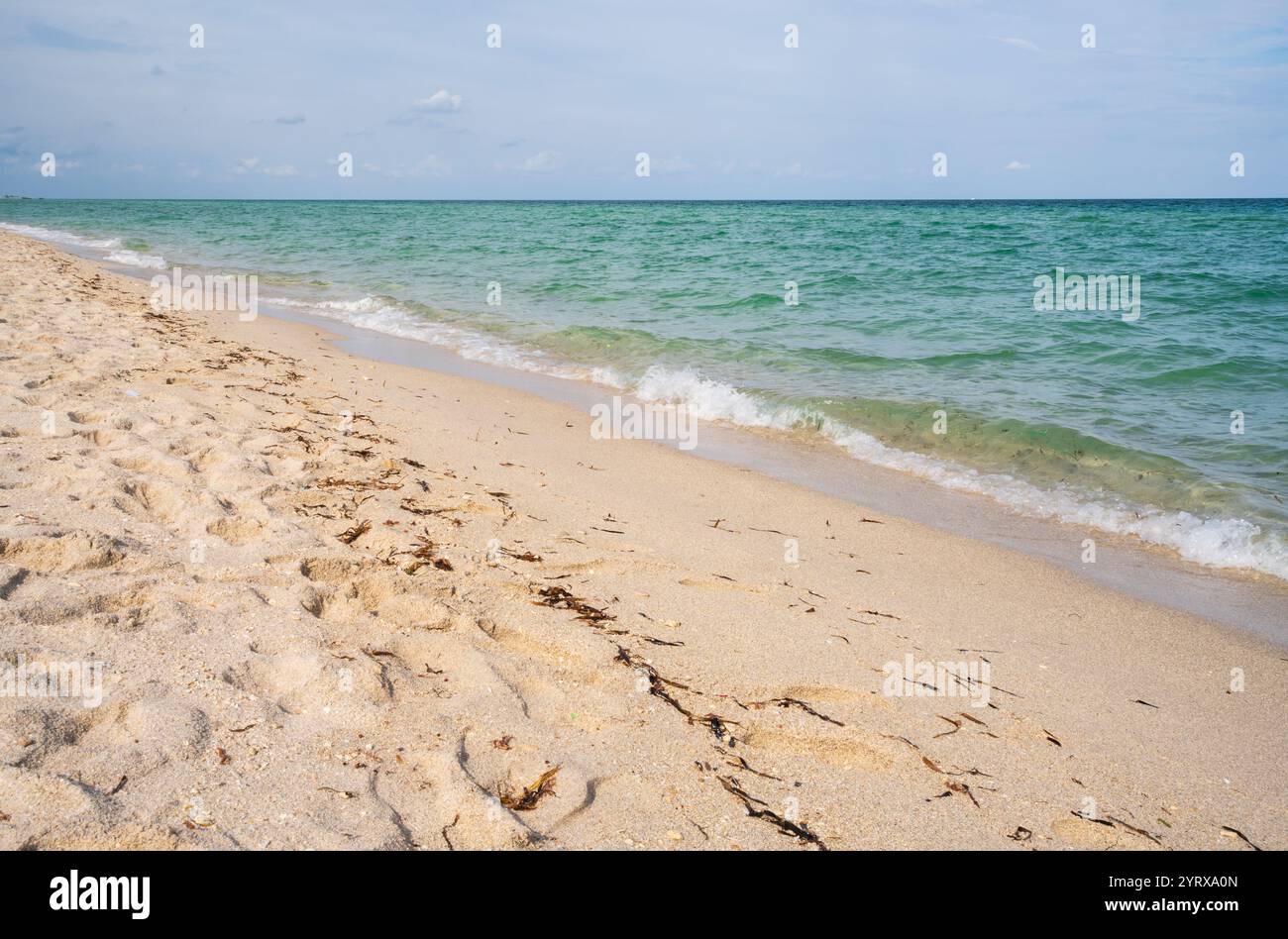 Miami Beach, North Shore Open Space Park, Lummus Park to South Pointe ...