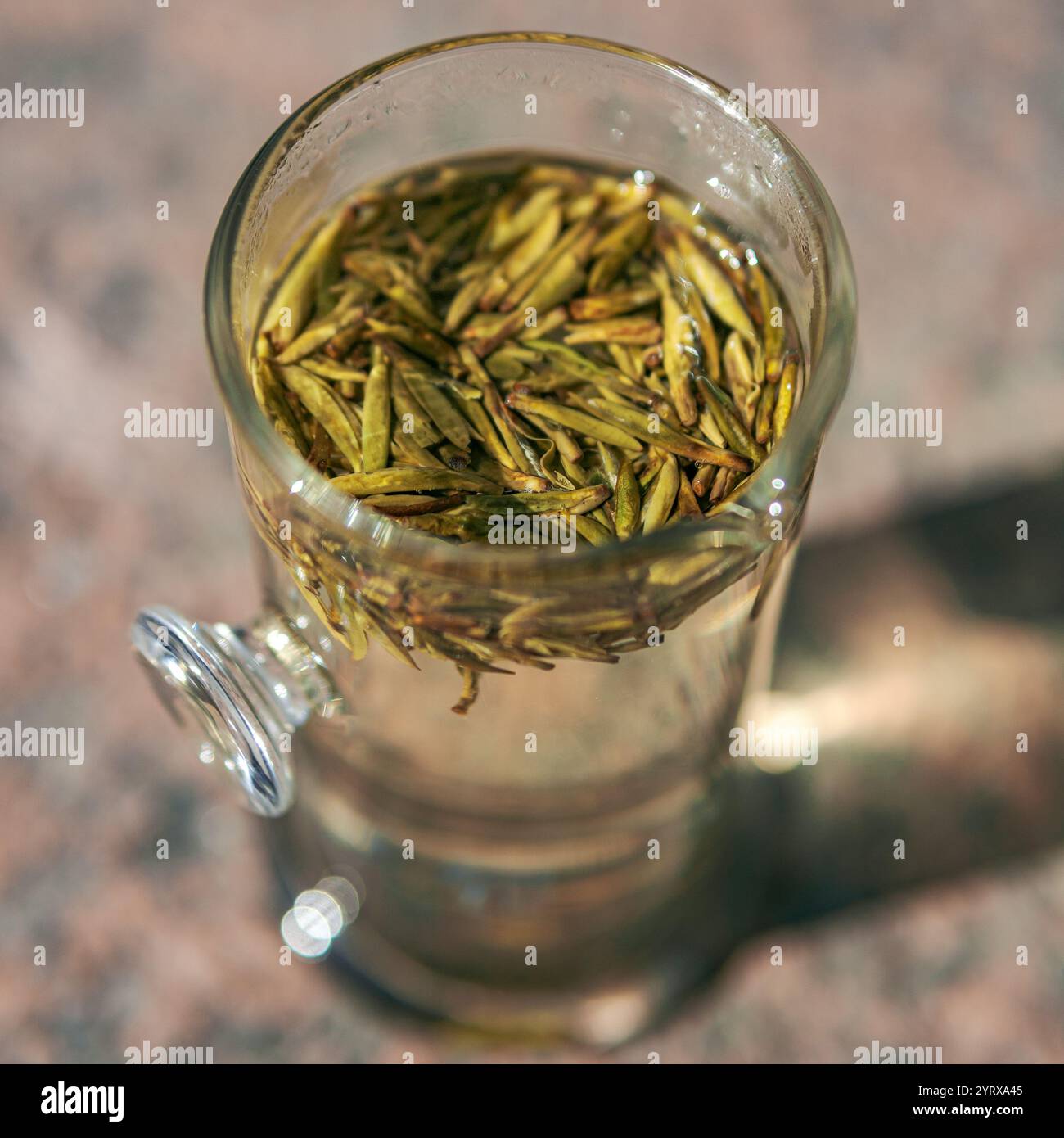 Enjoy a Refreshing Green Tea Infusion Poured into a Beautiful Glass Cup ...