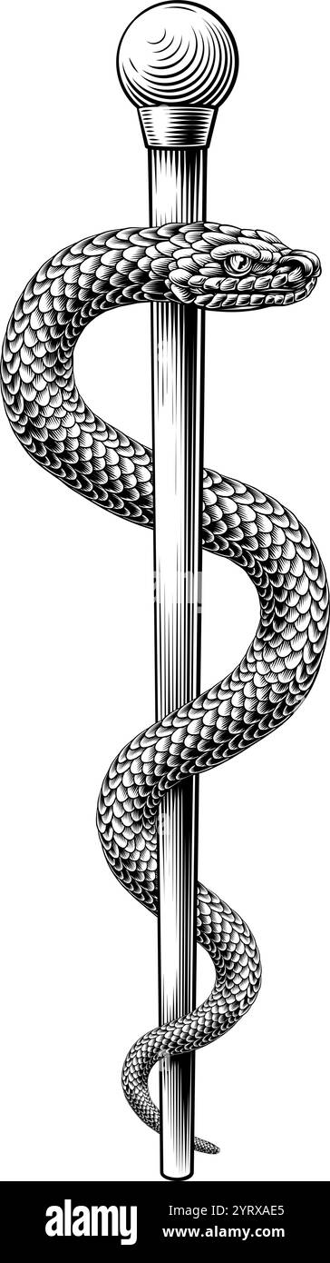 Rod of Asclepius Caduceus Medical Doctor Symbol Stock Vector Image ...