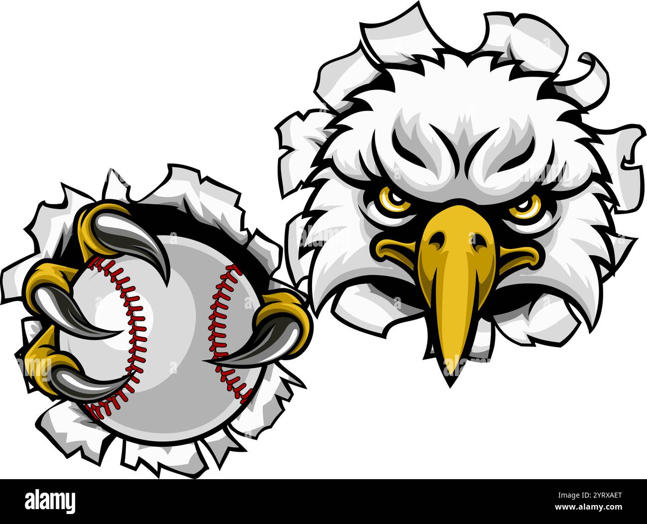 Eagle Hawk Baseball Softball Bald Eagles Mascot Stock Vector Image ...