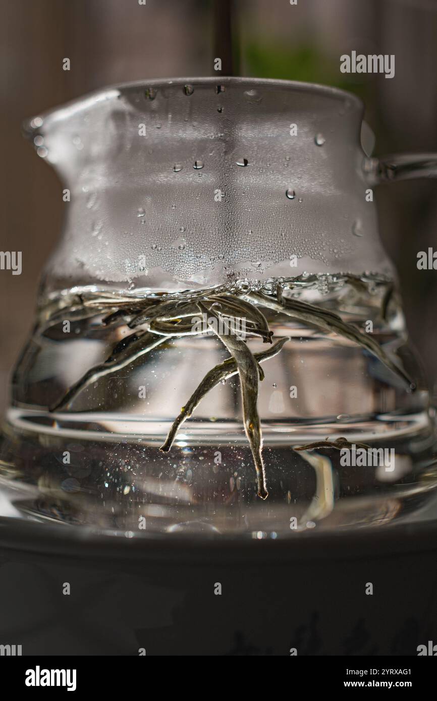 Water Infusion with Natural Elements Beautified in a Clear Glass ...