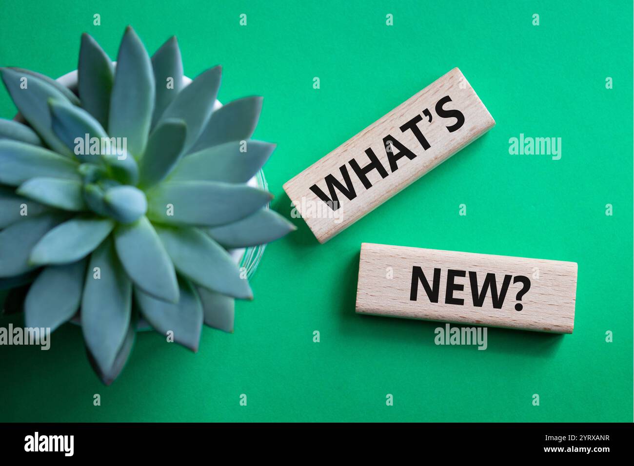What is new symbol. Concept word What is new on wooden blocks ...