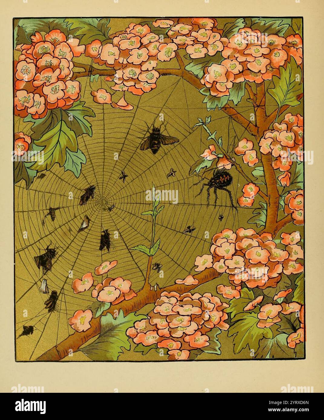 Comic insects hi-res stock photography and images - Alamy