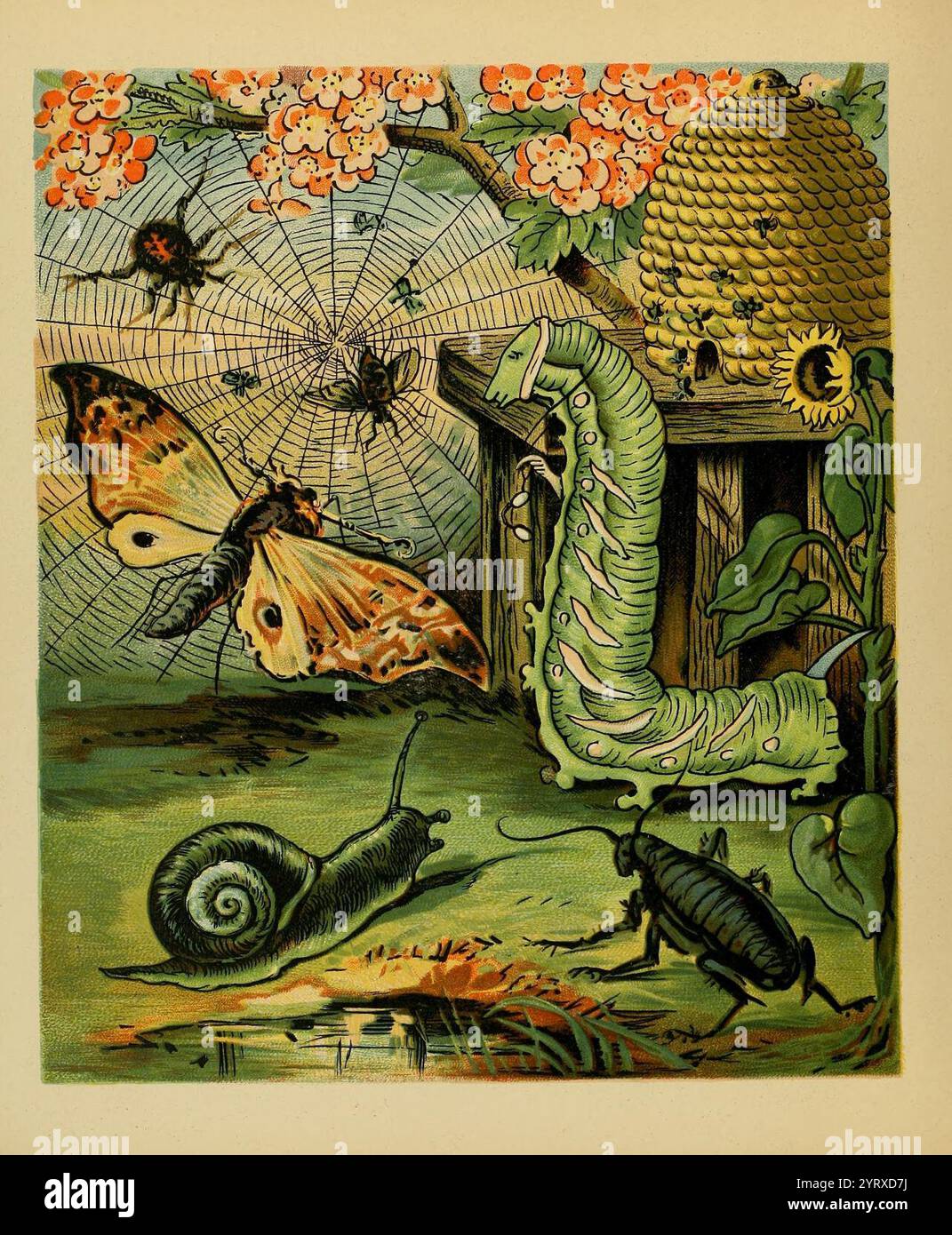 Comic insects hi-res stock photography and images - Alamy