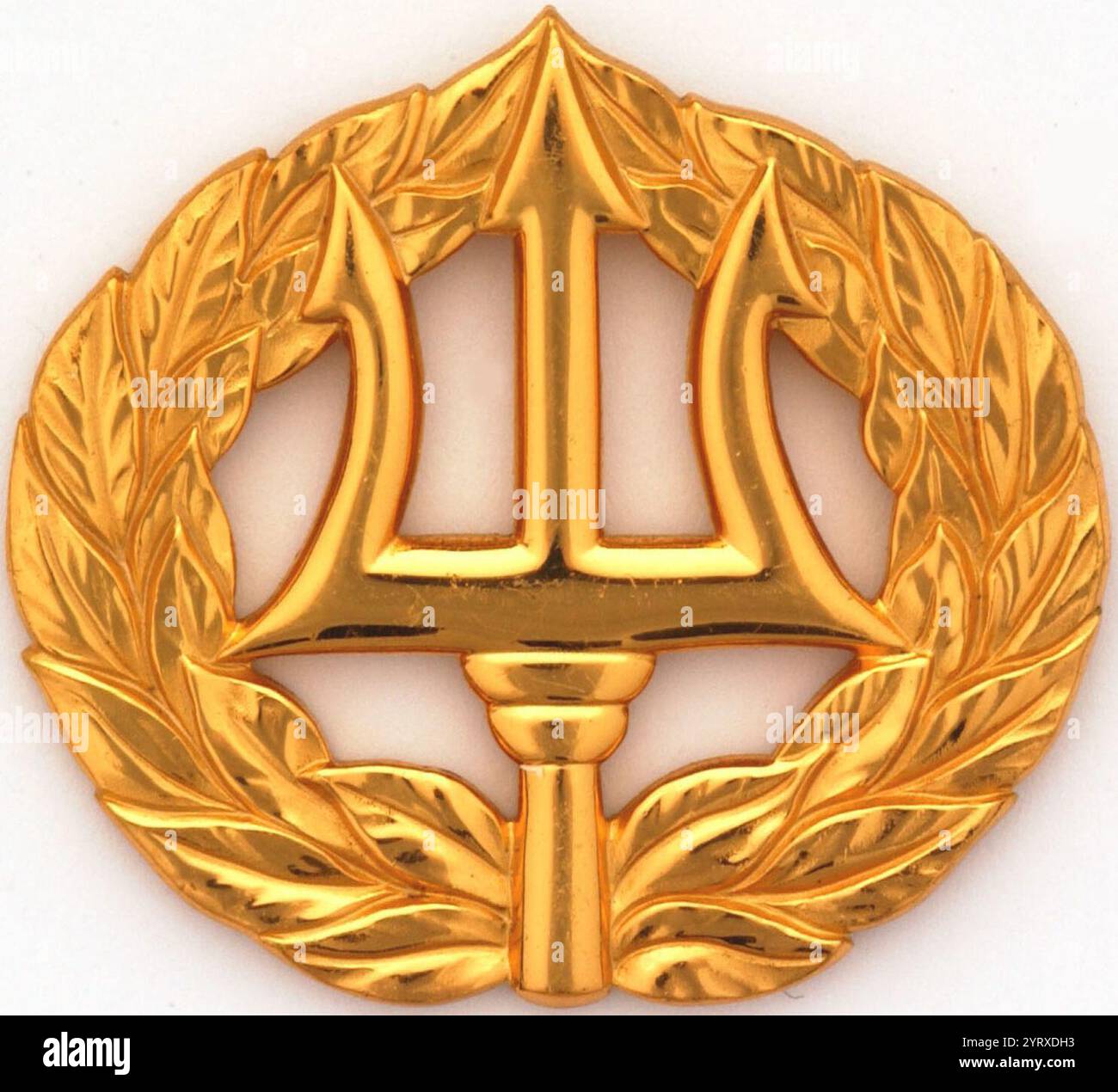 Command Ashore-Project Manager badge Stock Photo - Alamy