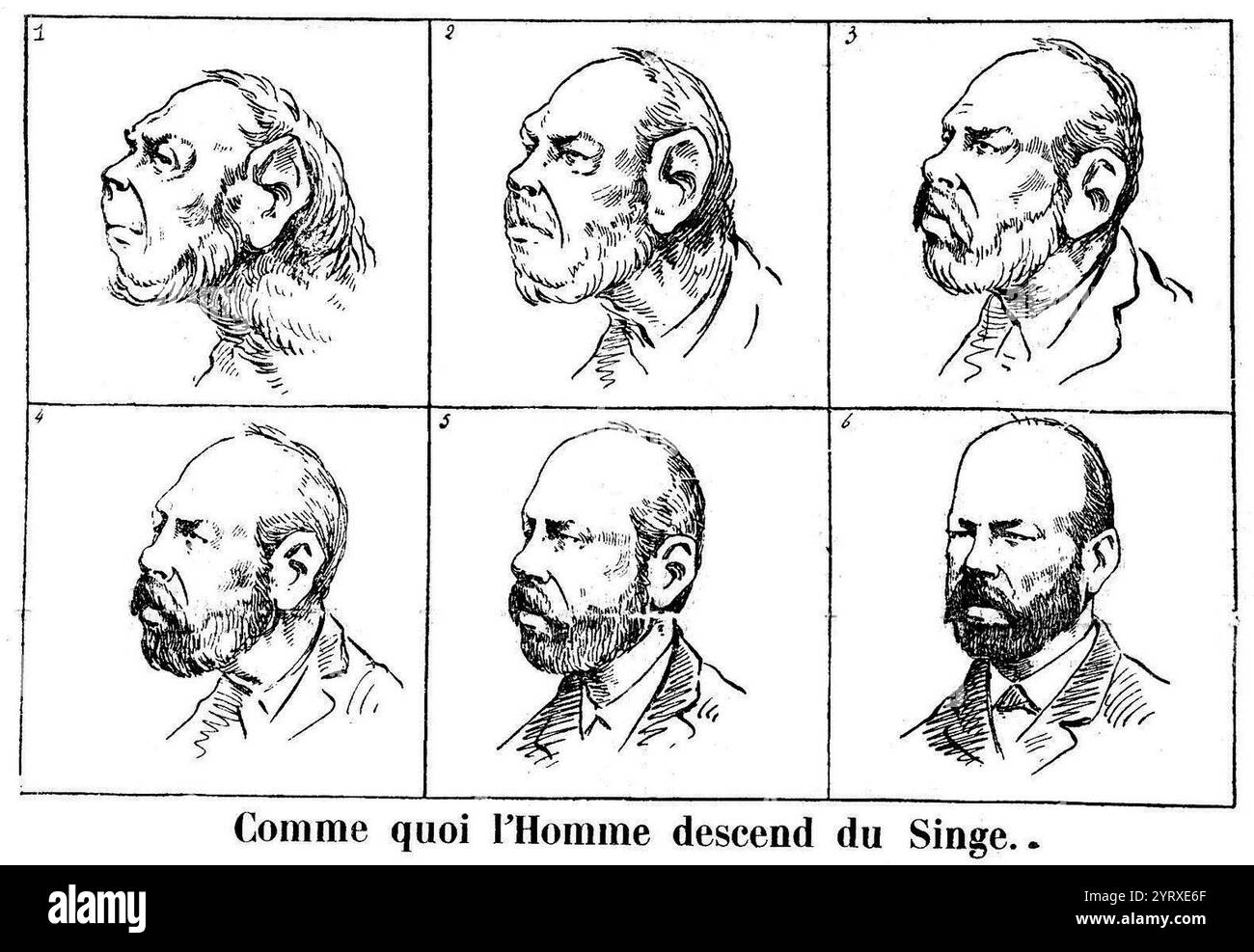 01 01 1895 Cut Out Stock Images & Pictures - Alamy