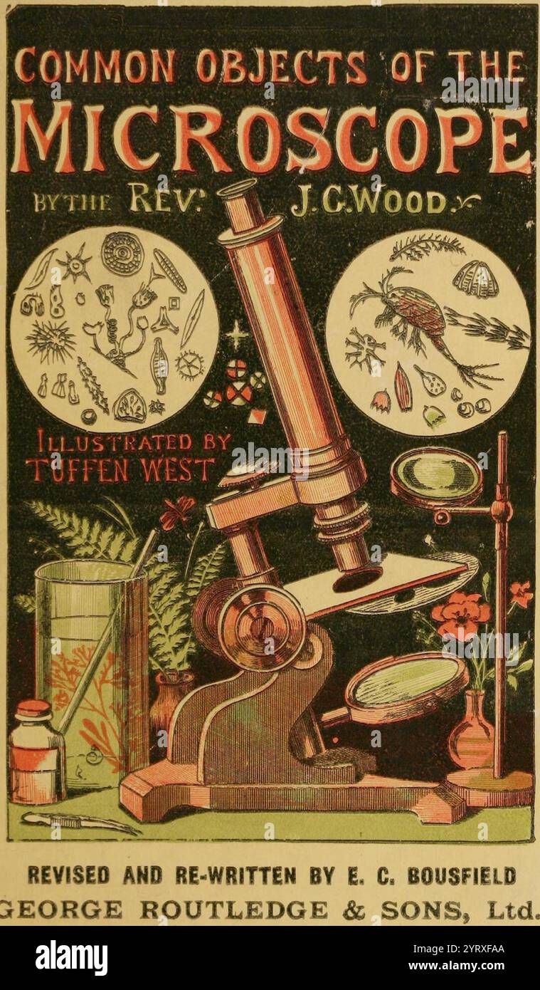 Common Objects of the Microscope Stock Photo - Alamy