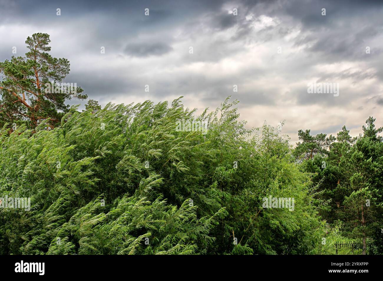 nature landscape with windy stormy weather Stock Photo - Alamy