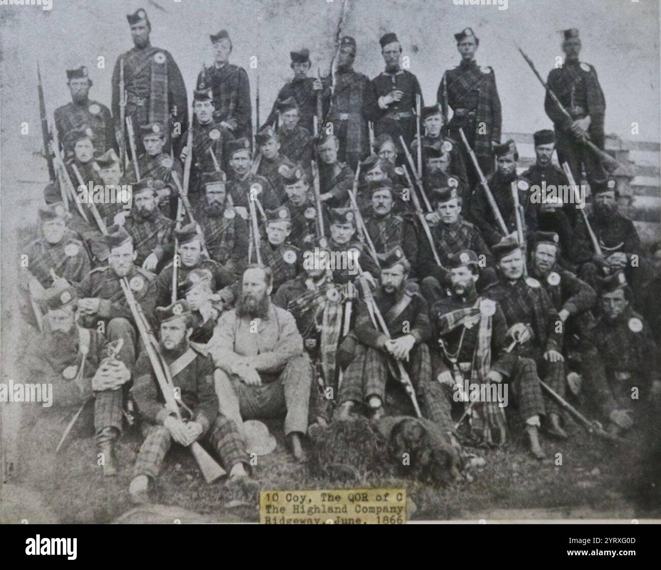 10 queens hi-res stock photography and images - Alamy