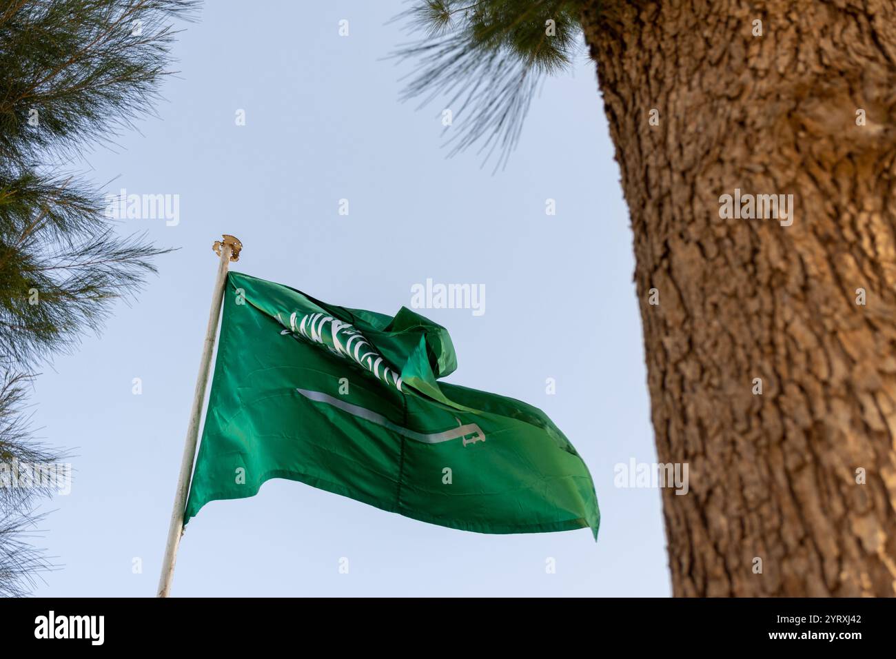 Saudi flag national celebration hi-res stock photography and images - Alamy