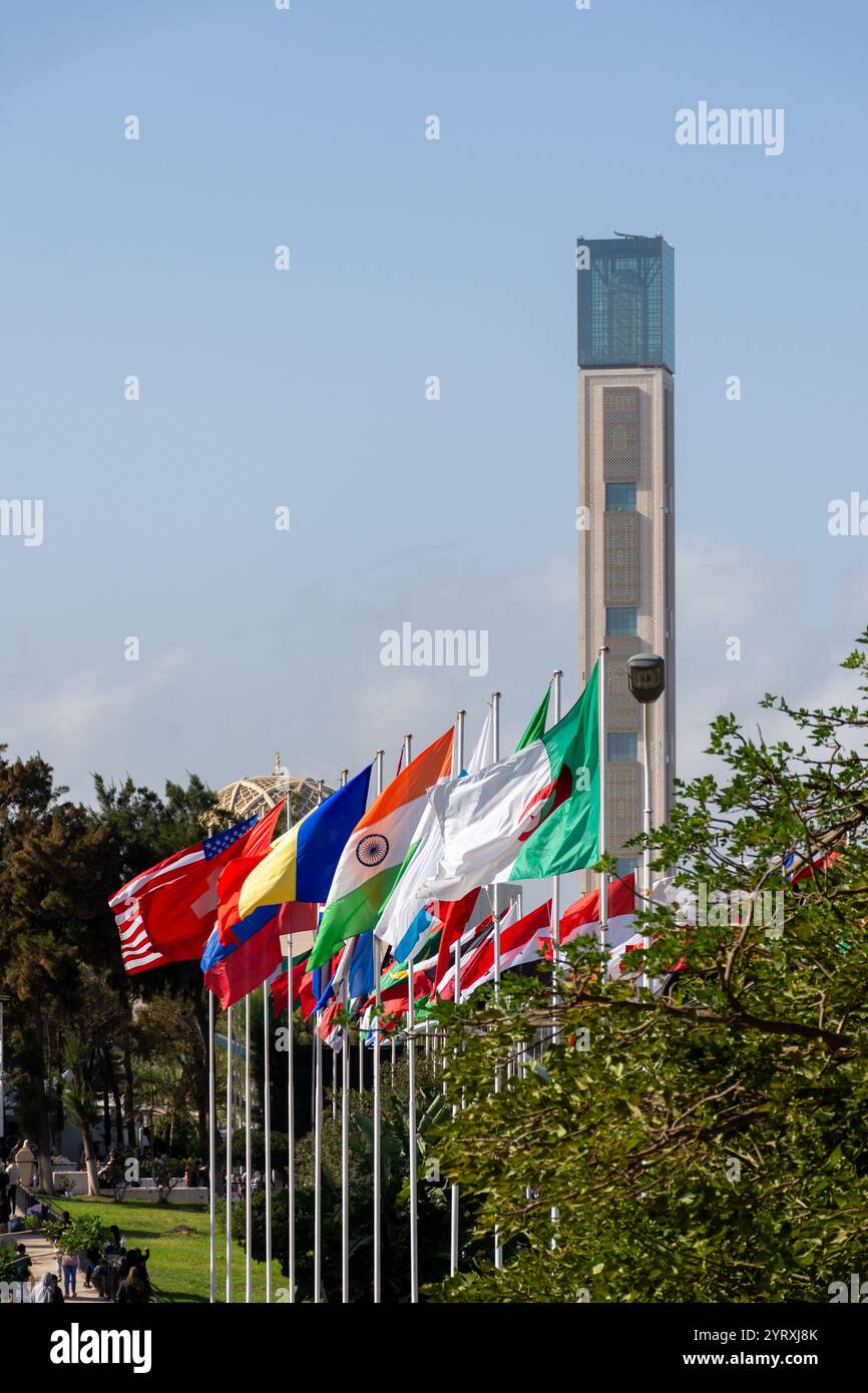 Algerian flag waving on pole hi-res stock photography and images - Alamy