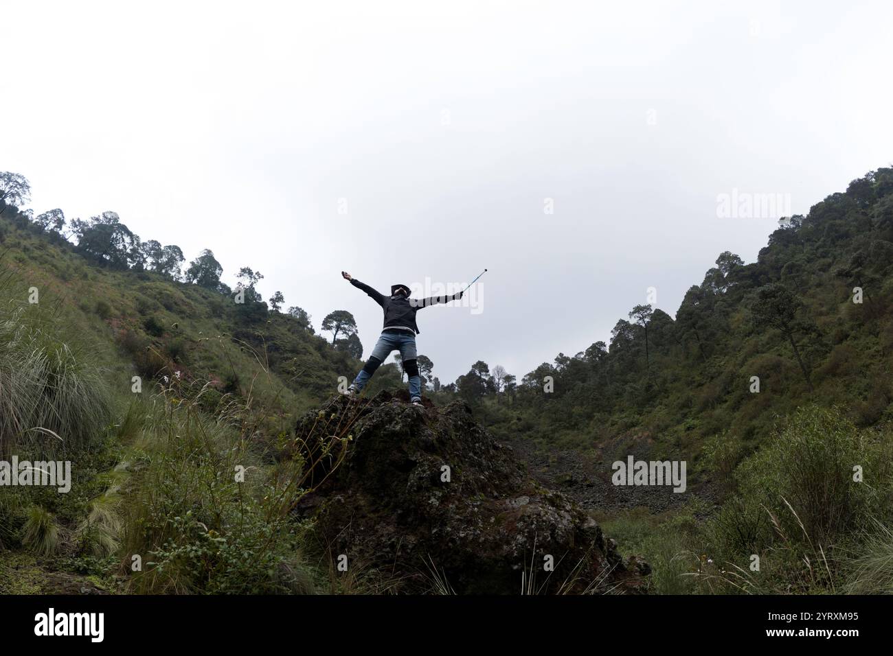 Standing triumphantly atop a rocky outcrop, a figure celebrates the ...
