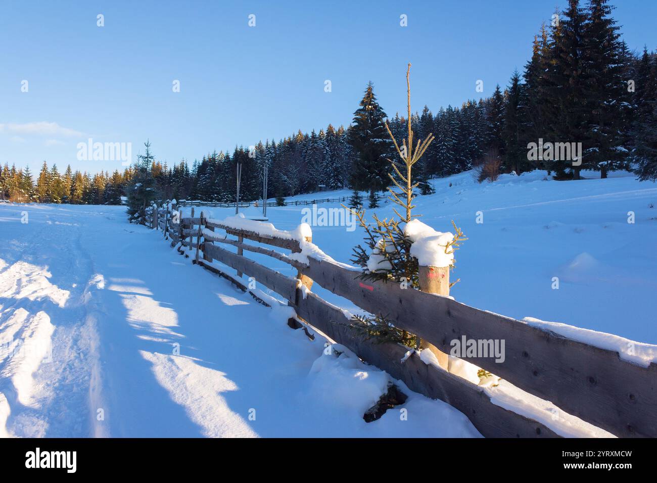 View through wooden fence hi-res stock photography and images - Alamy