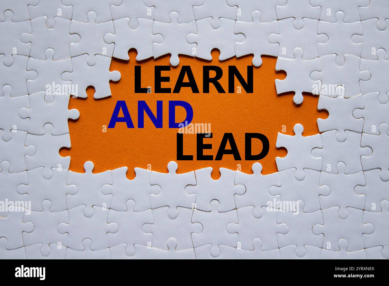 Learn and lead symbol. Concept words Learn and lead on white puzzle ...