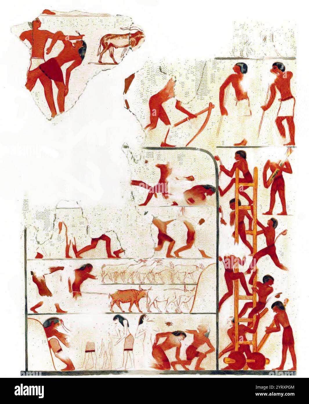 Drawing from a relief inside the Pyramid of Teti , Saqqara, Egypt. The ...