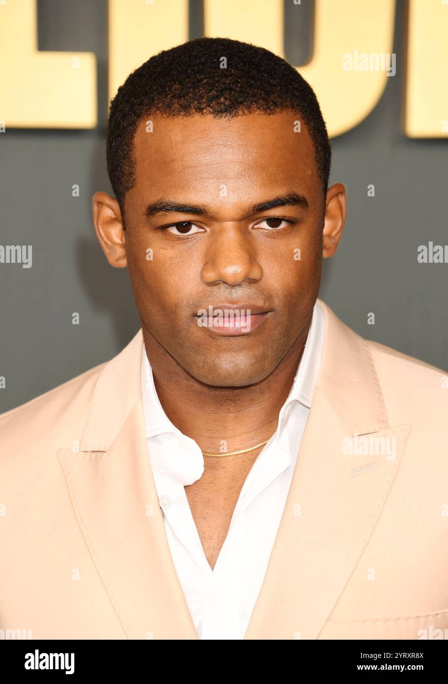 LOS ANGELES, CALIFORNIA - DECEMBER 03: Jay Reeves attends the premiere ...